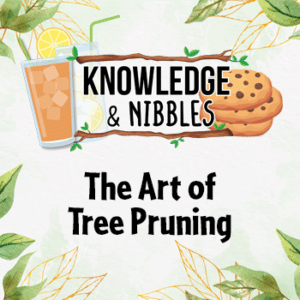 Knowledge & Nibbles: The Art of Tree Pruning - Explore Tarpon Springs